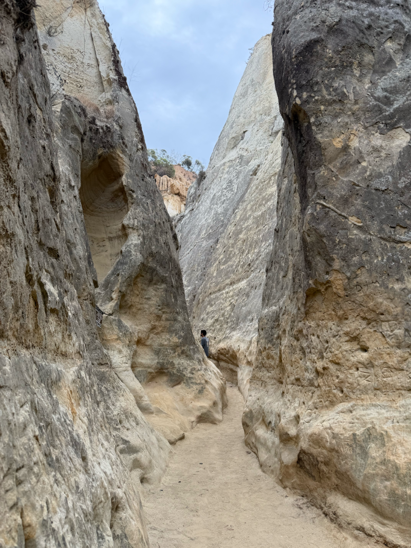 Annie’s Canyon Trail - Solana Beach Hike & Trail - SolanaBeach.com